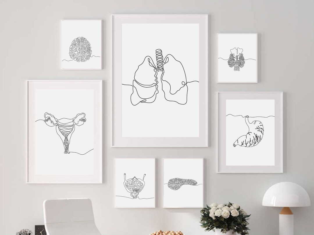Minimalist Human Anatomy Set of 7, Anatomy Wall Art, Minimalist Lung ...