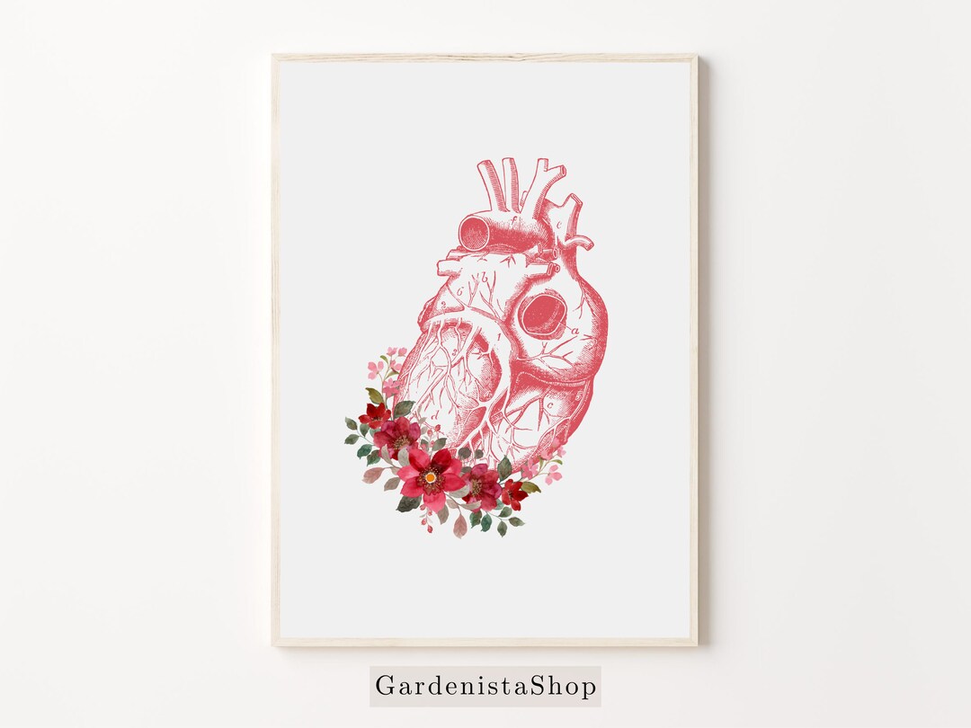 Heart Anatomy Poster, Anatomy Art, Medical Print, Cardiovascular System ...