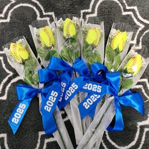 Softball Roses//senior Night Gift//prom Gift//end of Season Gift ...