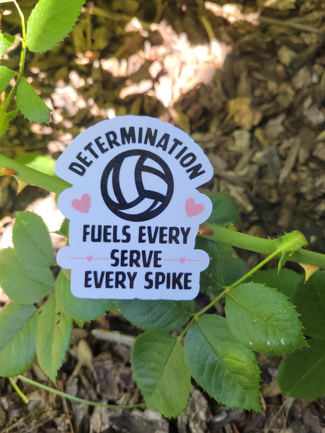 Determination Volleyball Sticker – Motivational Sports Sticker for ...