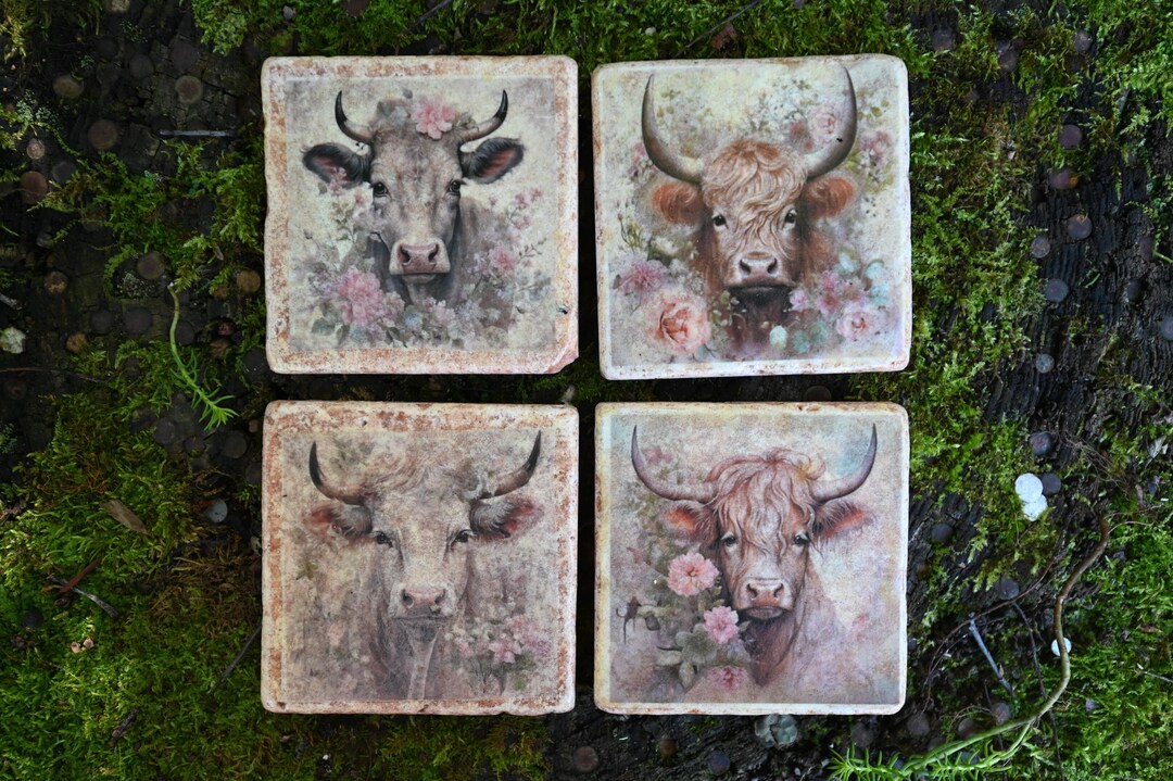Highland Cow Coasters - Etsy