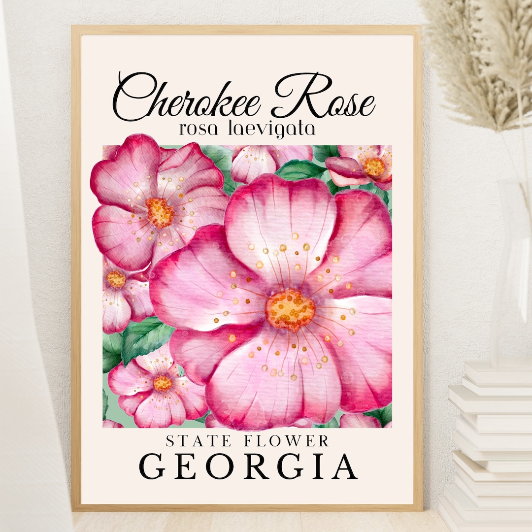 Georgia State Flower Print Cherokee Rose Watercolor Poster Botanical ...