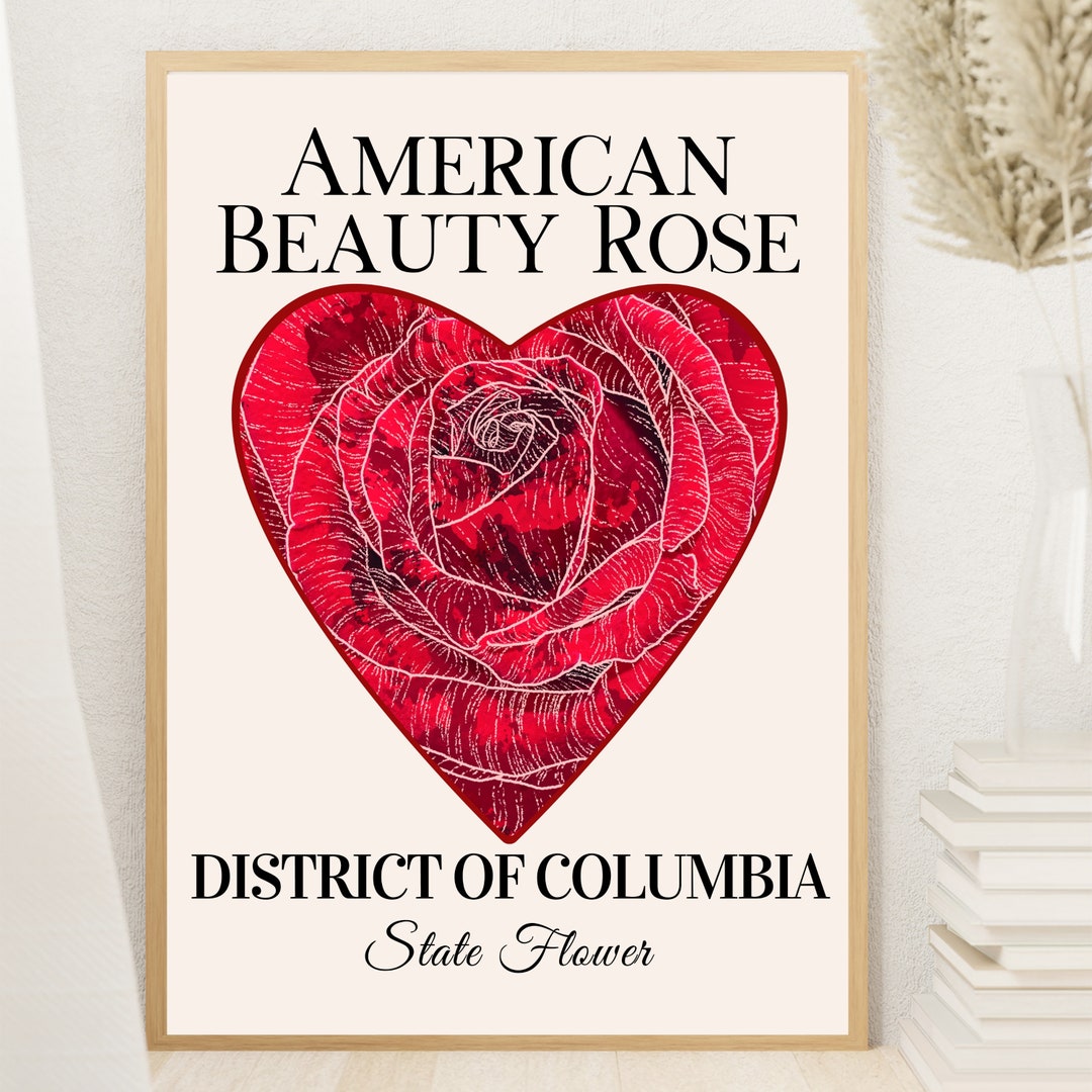 US State Flower Art District of Columbia Print Red American Beauty Rose ...