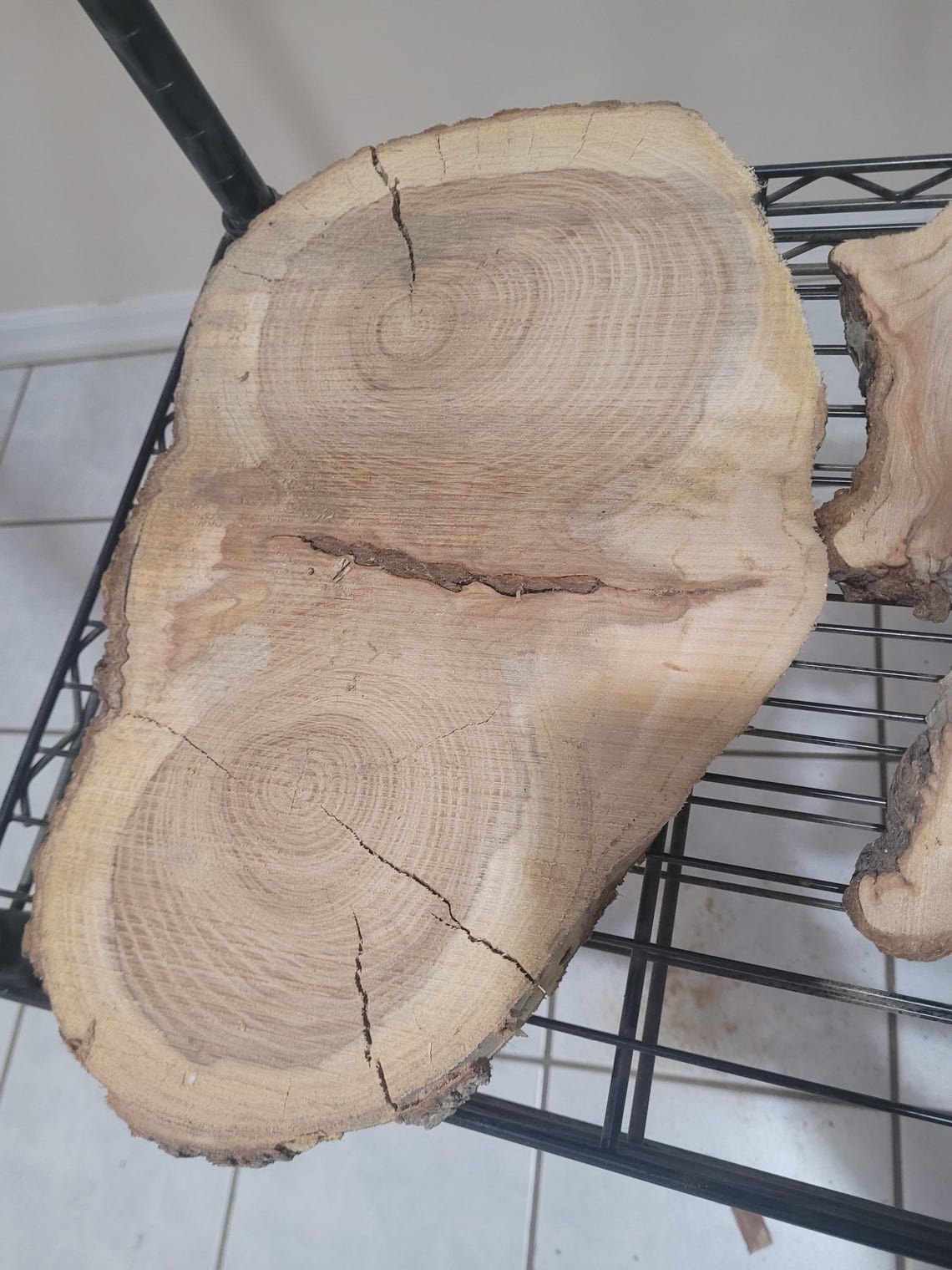 Kiln-dried Oak Wood Slices – Premium Cuts for Charcuterie Boards ...
