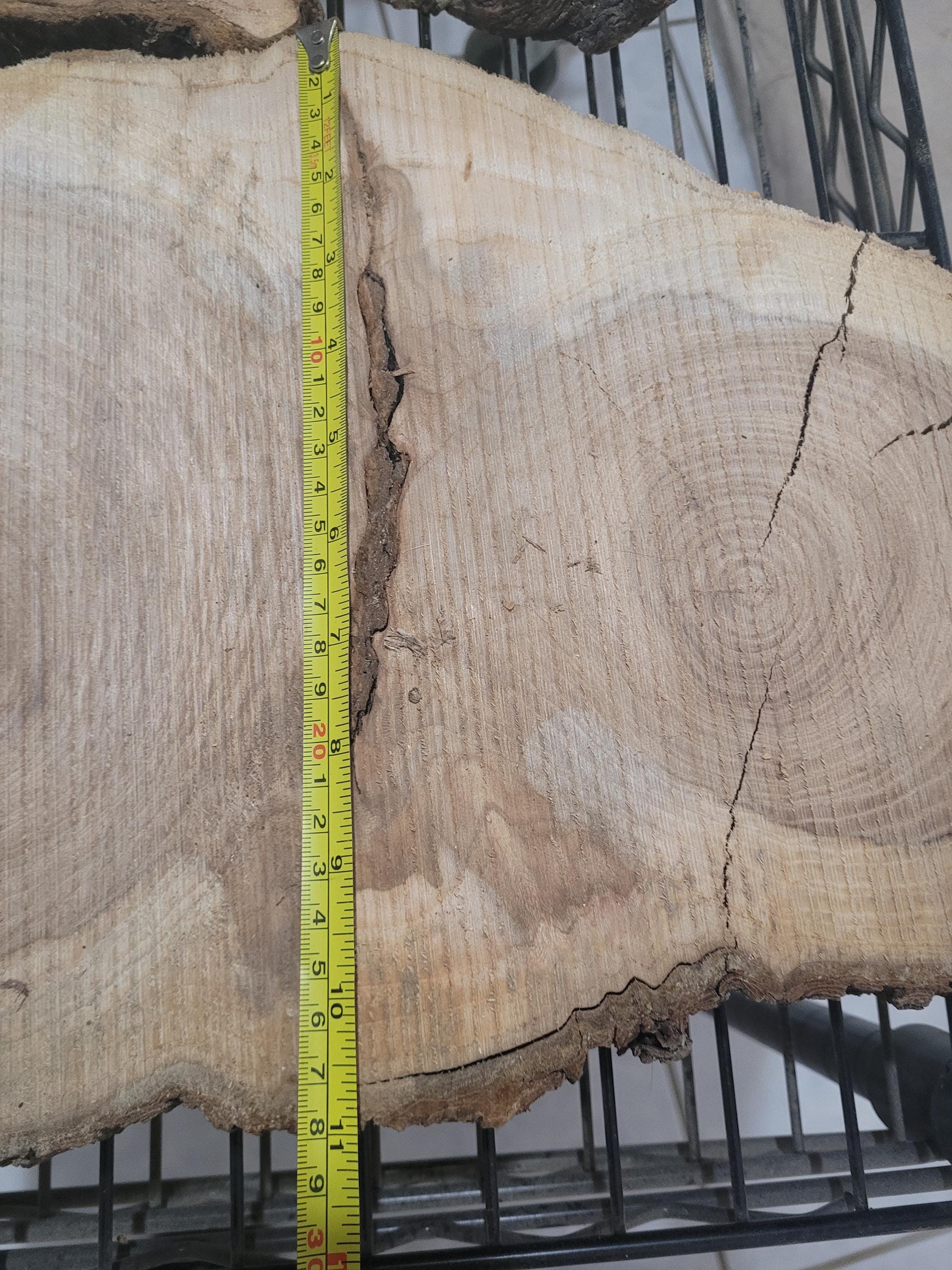 Kiln-dried Oak Wood Slices – Premium Cuts for Charcuterie Boards ...