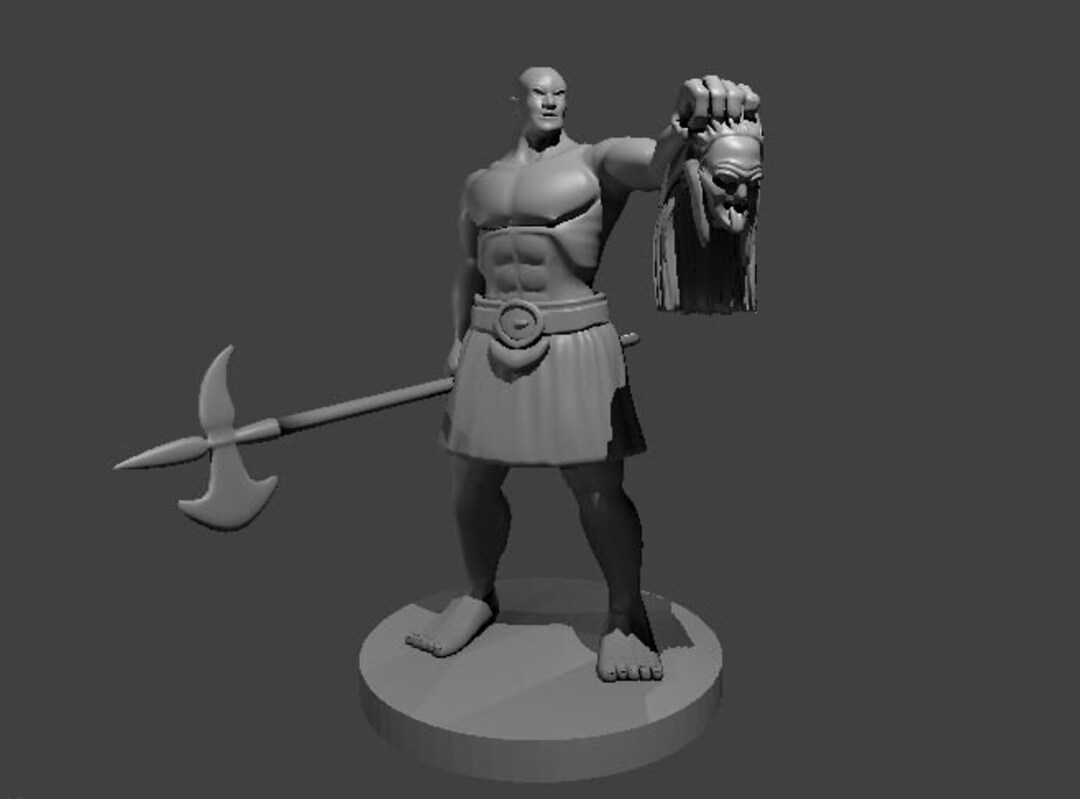 Goliath Barbarian W/ Hags Head Dnd Pathfinder RPG Games - Etsy