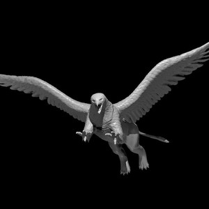 Griffons Griffin Dnd RPG Pathfinder MZ4250 - Etsy