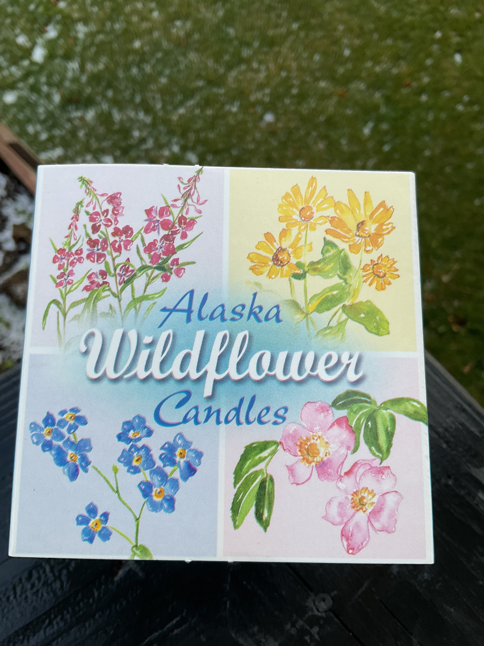 BEST SELLER Alaska Wildflower Candles, 4 Candles Boxed, Hand Poured ...