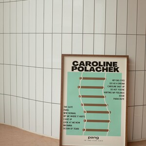 Vintage Caroline Polachek Pang Album Poster, Caroline Polachek Pang ...
