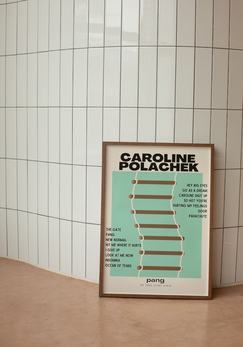 Vintage Caroline Polachek Pang Album Poster, Caroline Polachek Pang ...