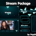 4x Animated Stream Screen for Twitch Lofi Game Room Neon Game Room Twitch Animated Screen for ...