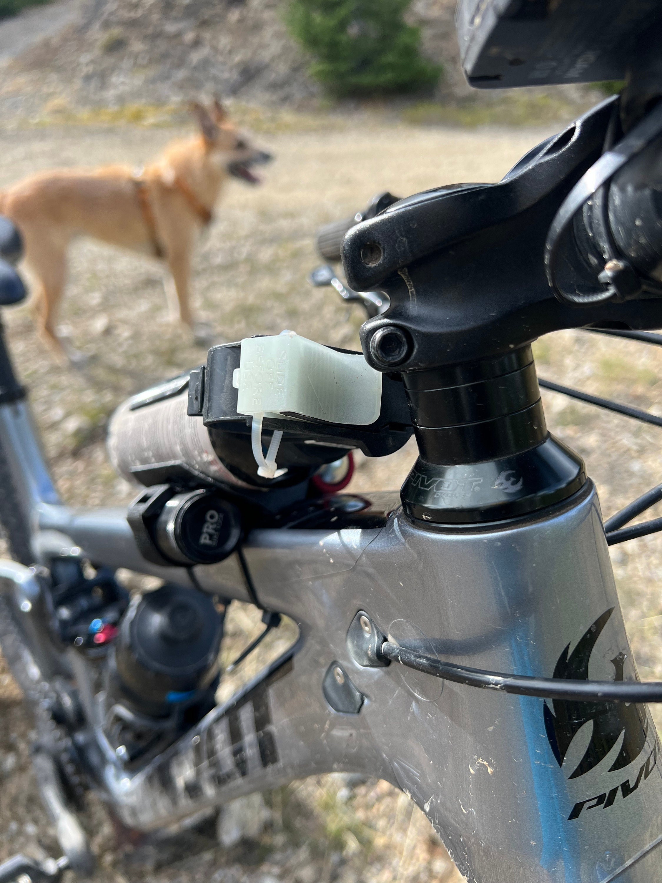 Bear Spray Holder for Bikes - Etsy