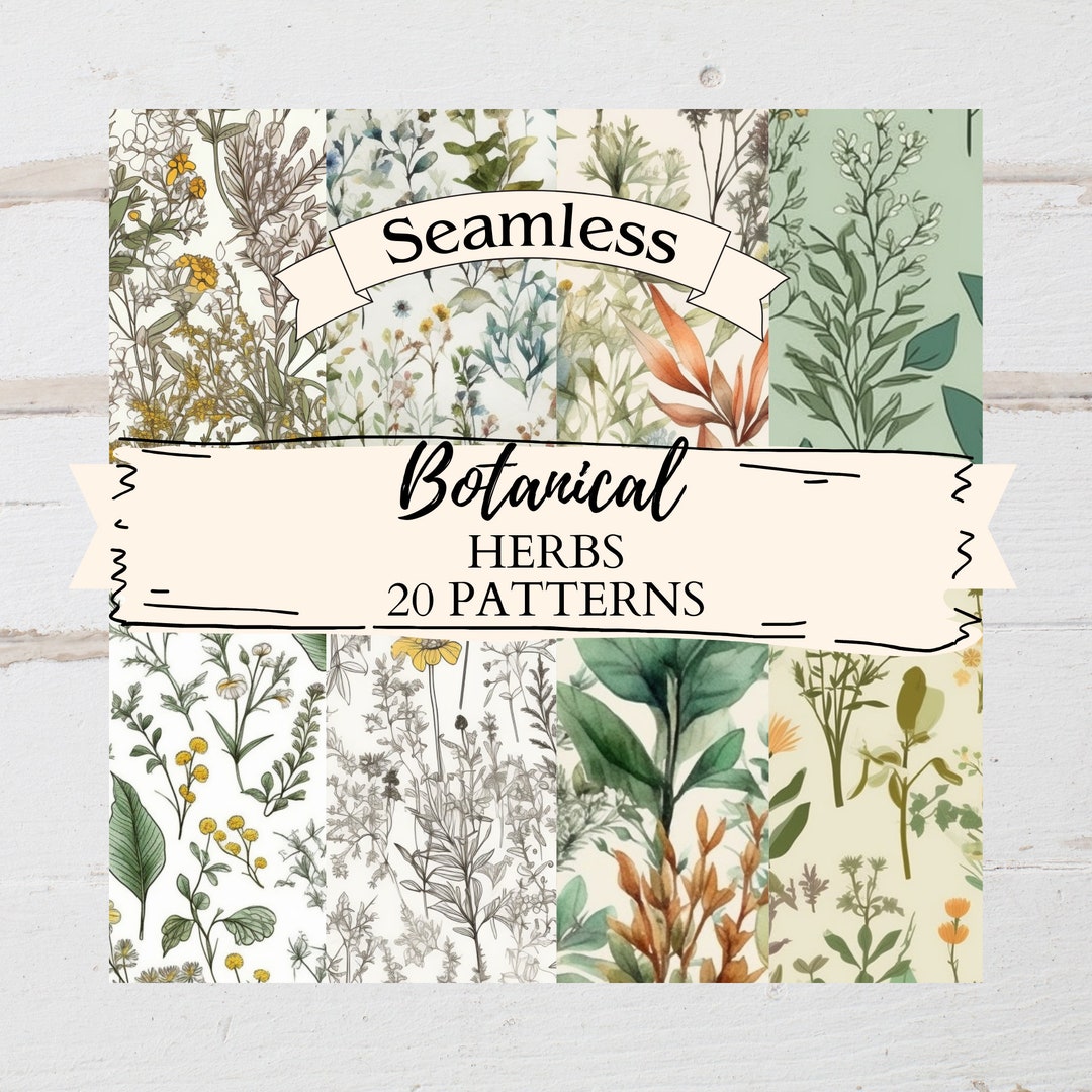 Herbs Digital Paper Seamless Pattern Botanical Herbal Illustration ...