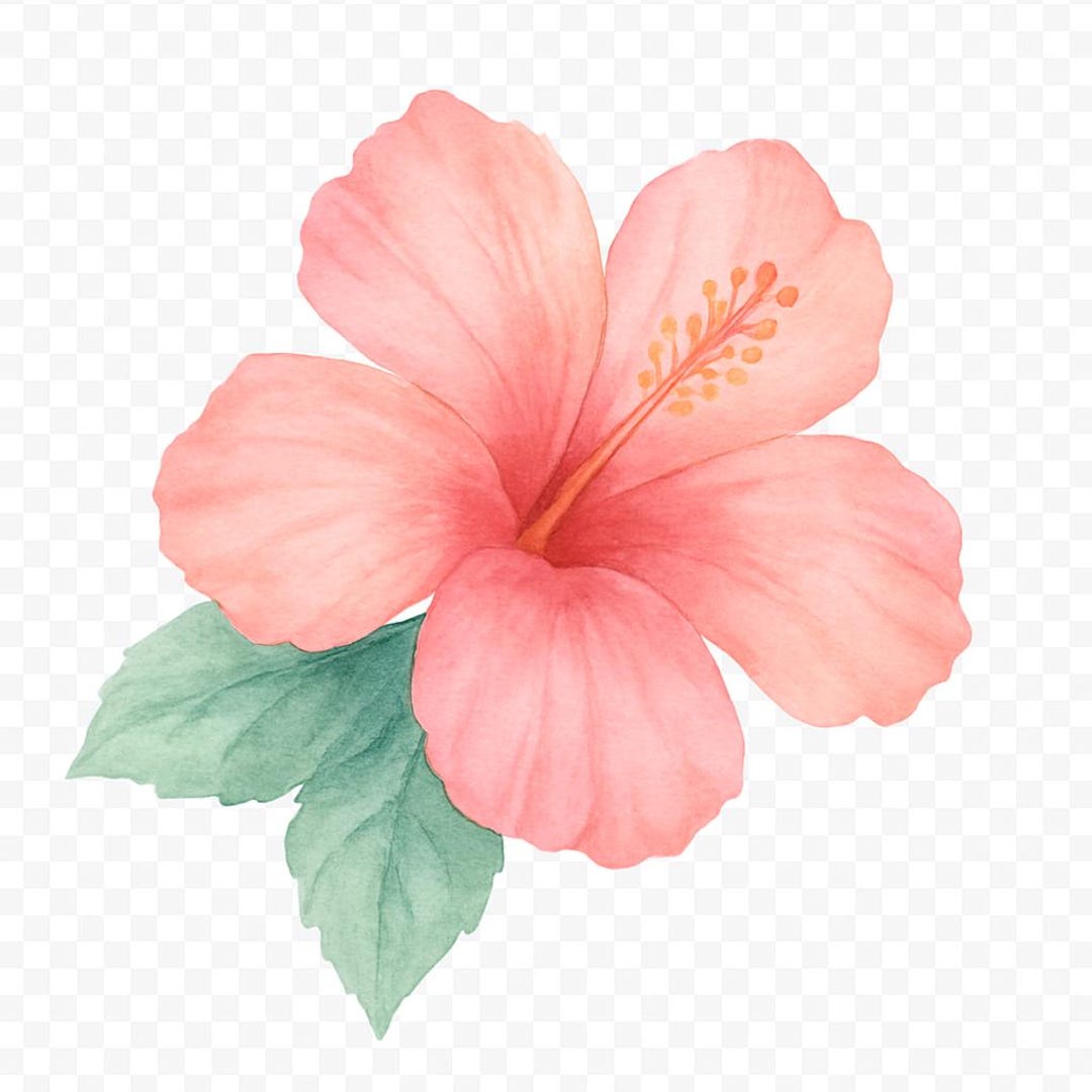 Watercolor Hibiscus SVG, Hawaii Flower PNG, Hawaiian Floral Cricut ...