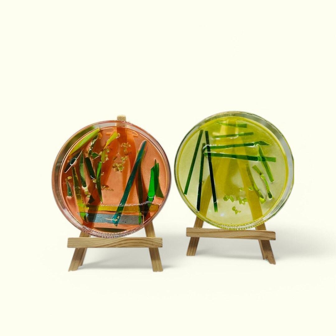Resin Petri Dish Art With Easel – Stained Glass Bacteria Plate Design ...