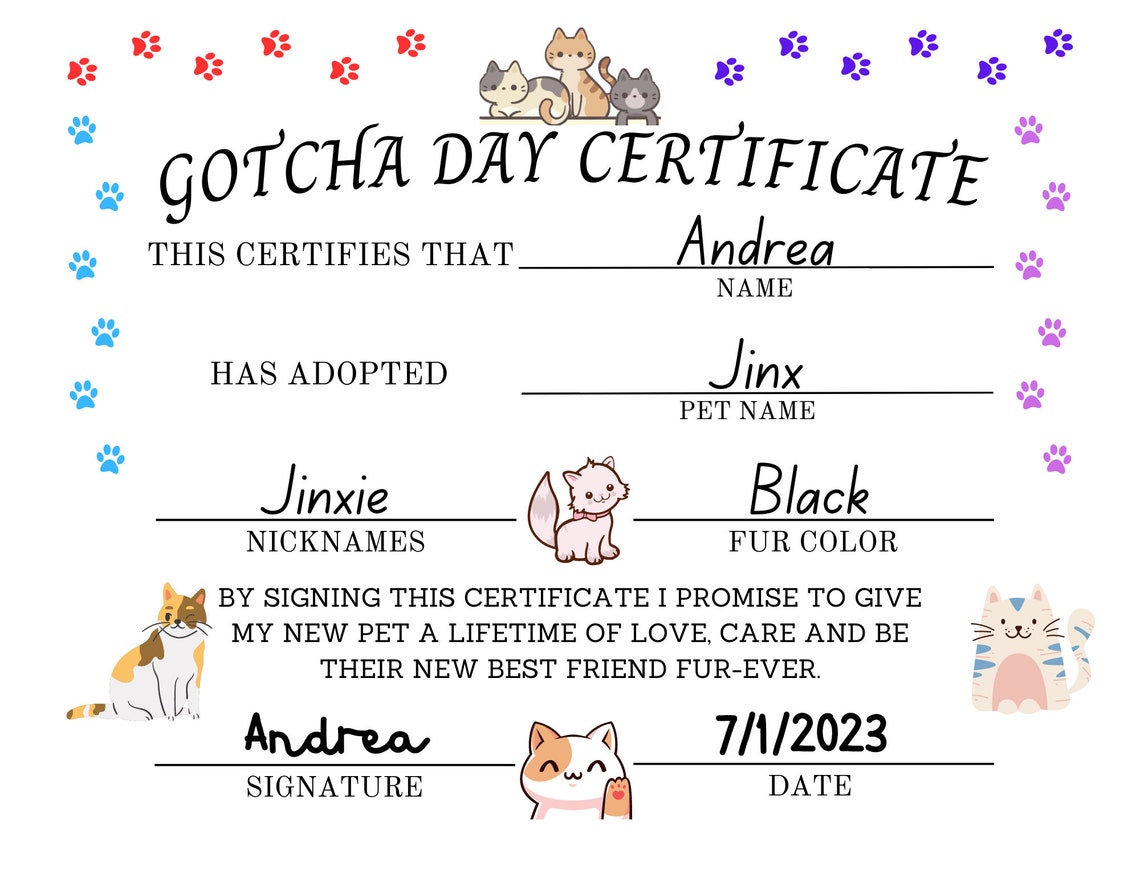 Gotcha Day Certificate, Pet Adoption Certificate, Kitty Adoption, Cat ...