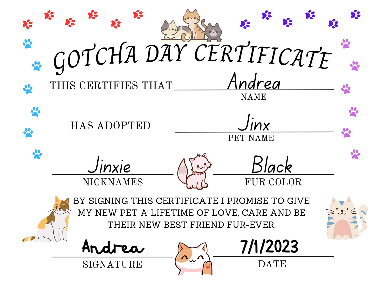 Gotcha Day Certificate, Pet Adoption Certificate, Kitty Adoption, Cat ...