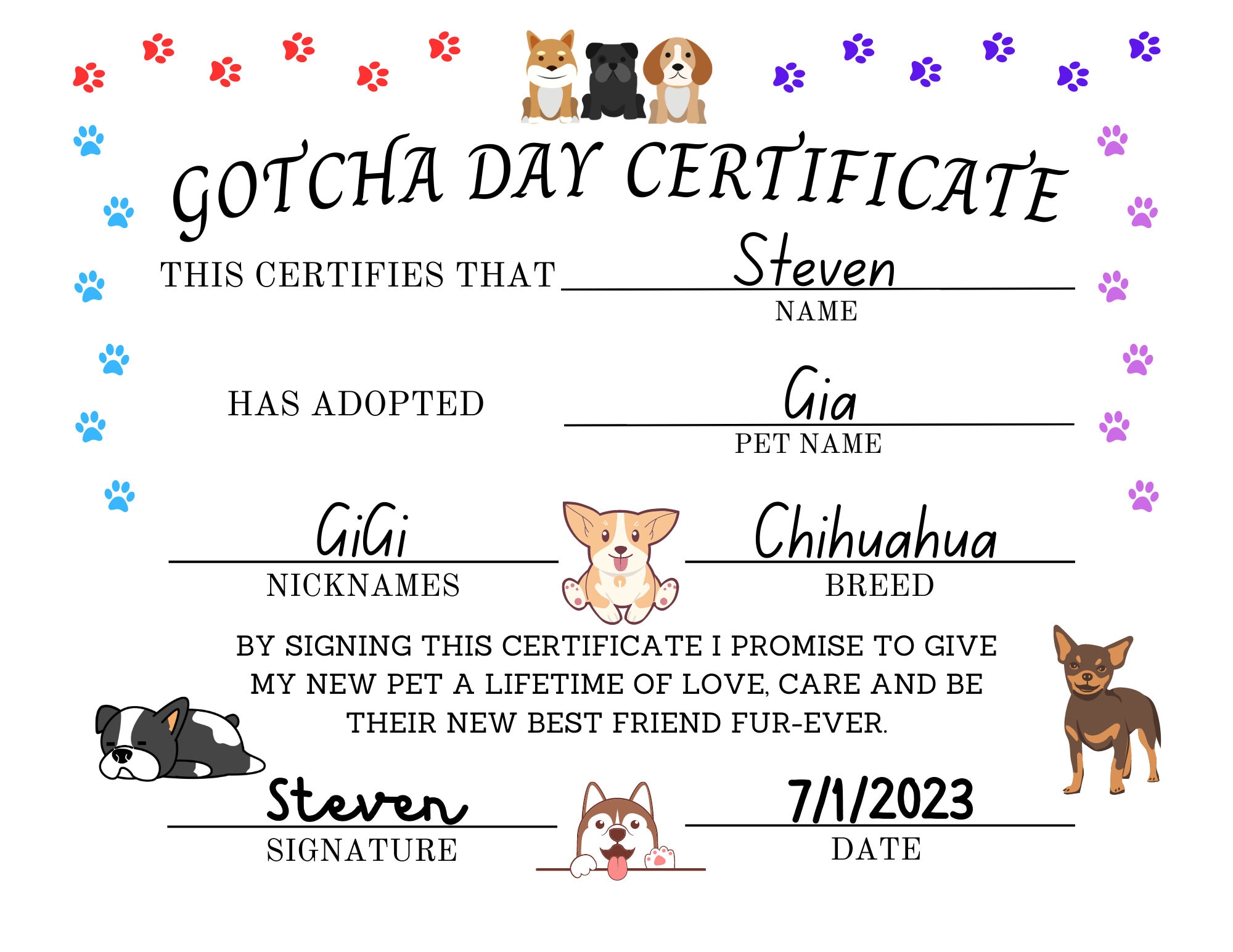 Gotcha Day Certificate, Pet Adoption Certificate, Puppy Adoption, Dog ...