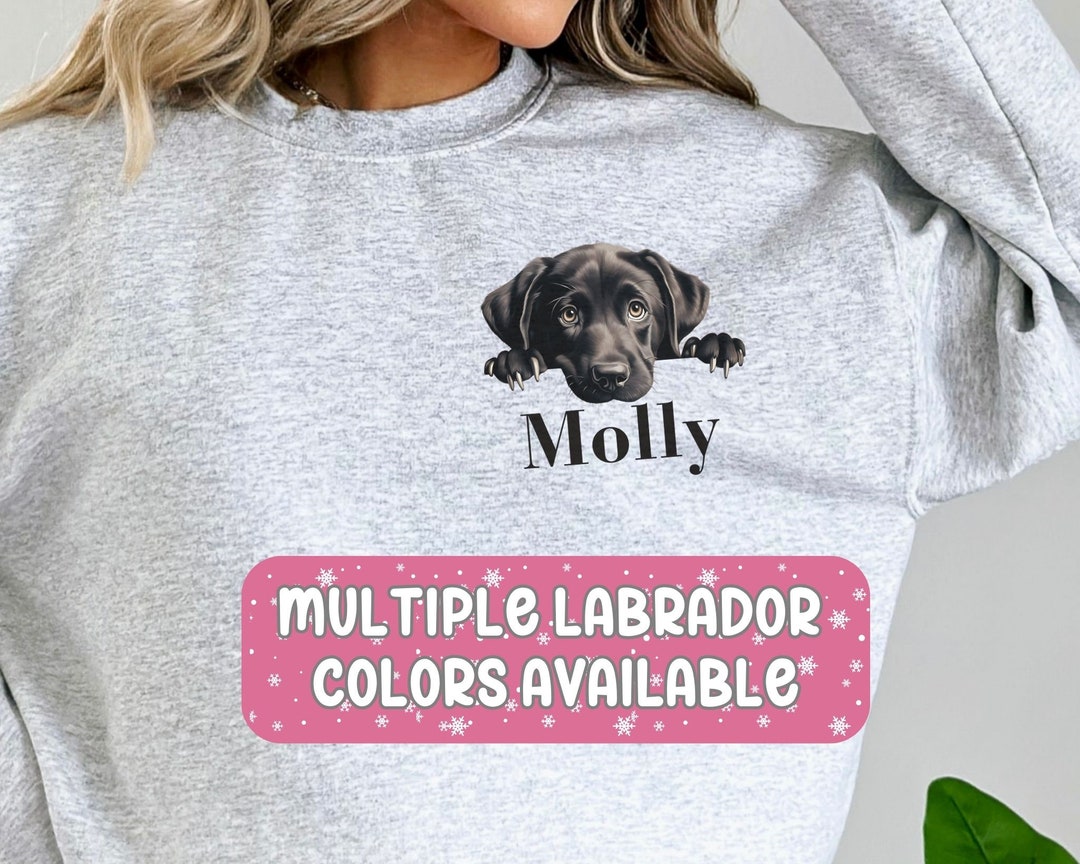 Personalized Labrador Sweatshirt, Custom Chocolate Lab Shirt, Yellow ...