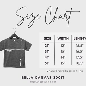 Custom 3rd Birthday Shirts | Three Esta Fiesta | Colorful Piñata Party Shirt | Bella and Canvas ...