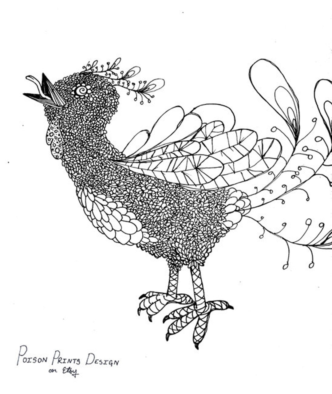 Crazy Bird Coloring Page - Etsy
