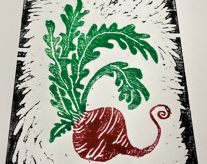1922 Antique Beetroot Print Sugar Beet Cultivar Vegetables - Etsy