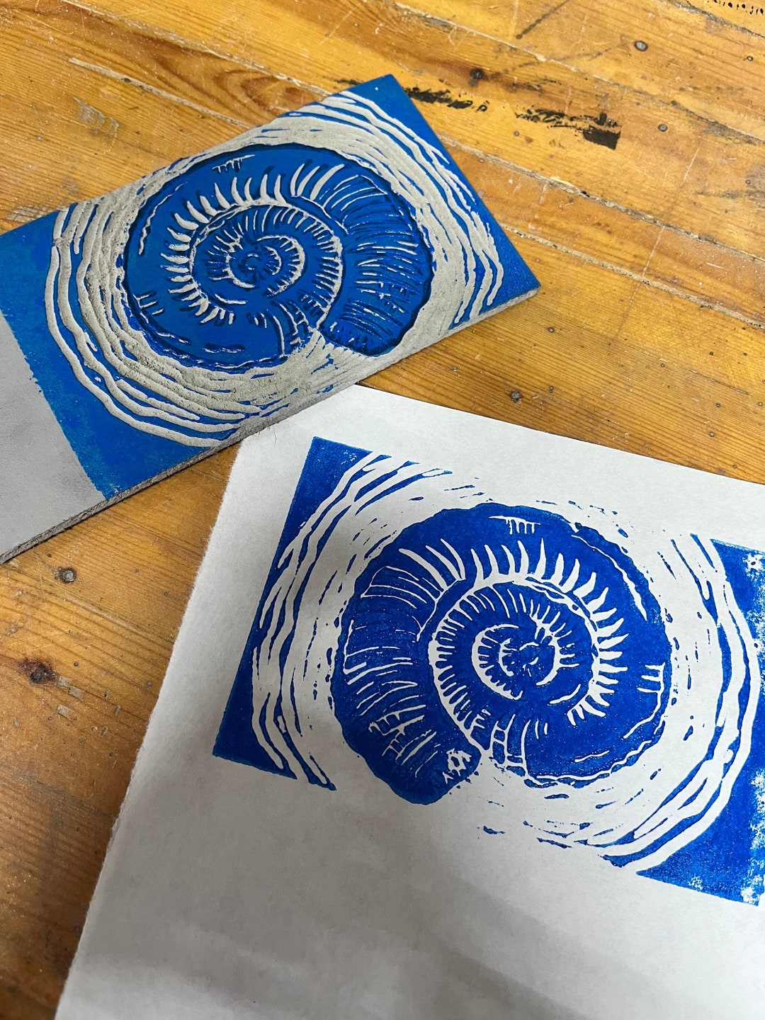 Nautilus Shell Linocut Print - Etsy