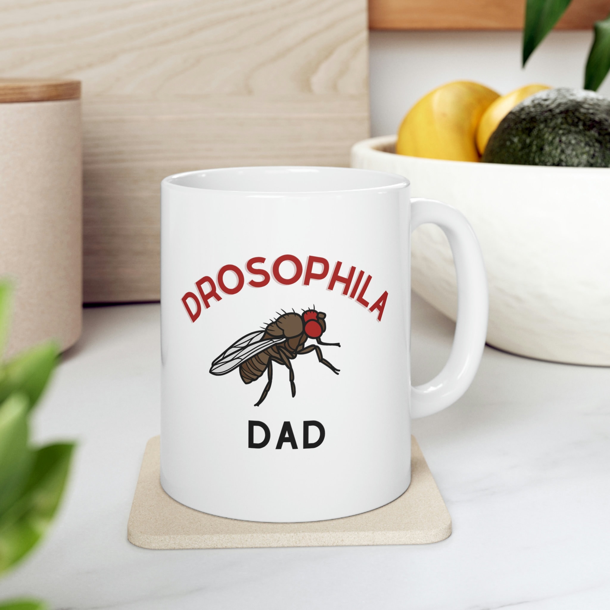 Drosophila Dad Mug, Fruit Fly Mug, Insect Mug, Big Mug, Biology Mug ...