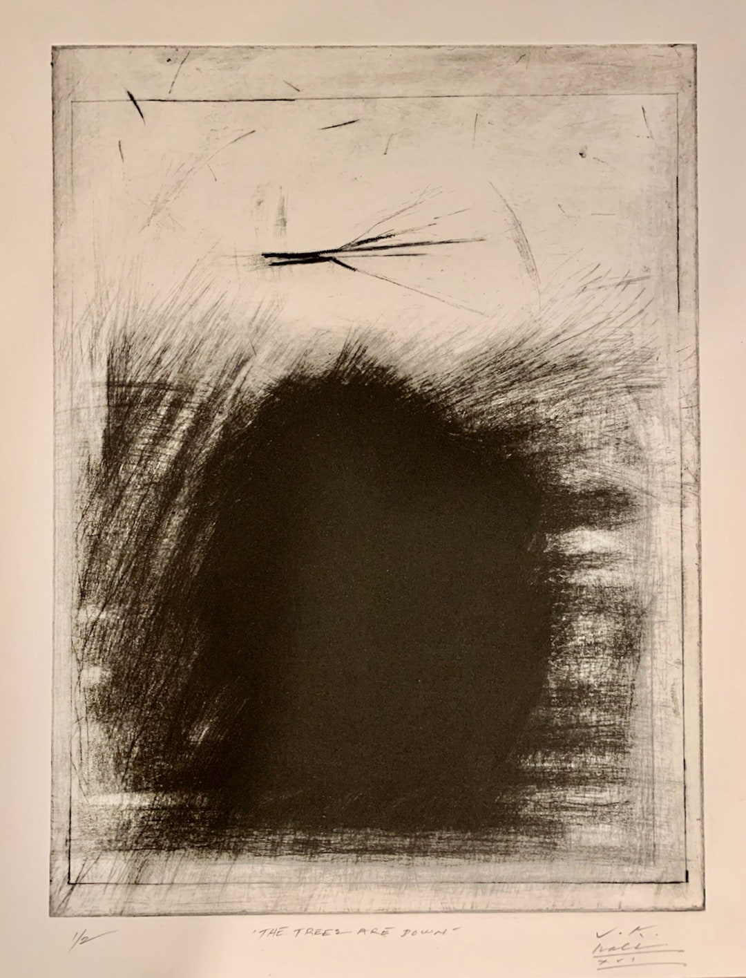 Signed Intaglio Aquatint: Abstract 'the Trees Are Down' Etching - Etsy