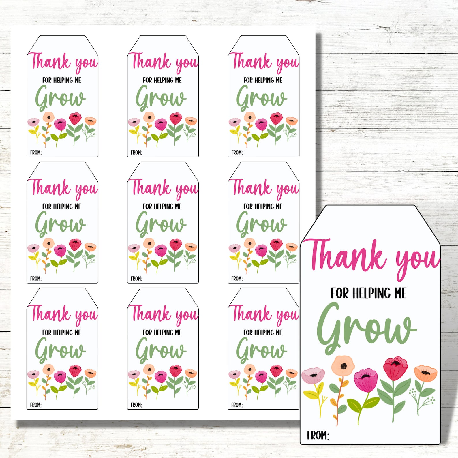 Teacher Appreciation Week Tag, Thank You for Helping Me Grow, Treat Tag ...