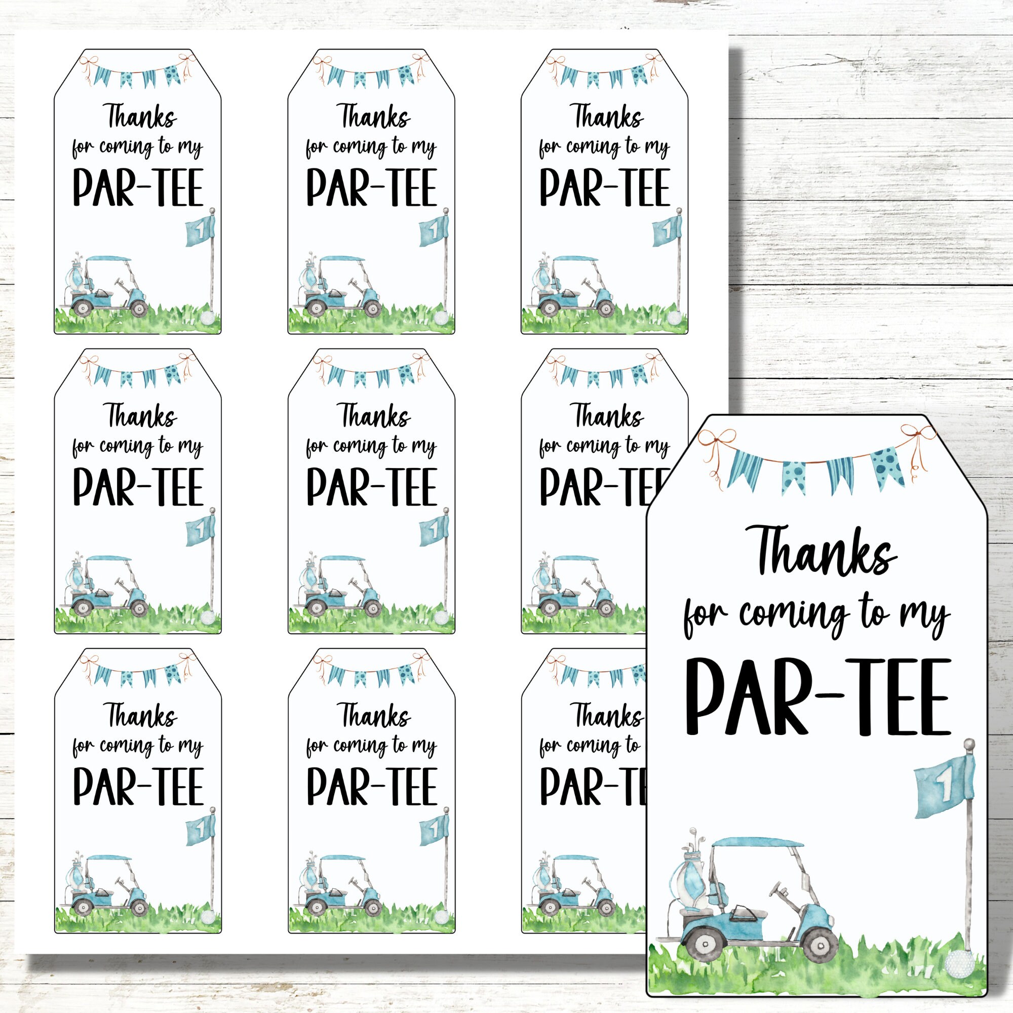Golf Birthday Favor Tags, Thanks for Coming to My PARTEE, Hole in One ...