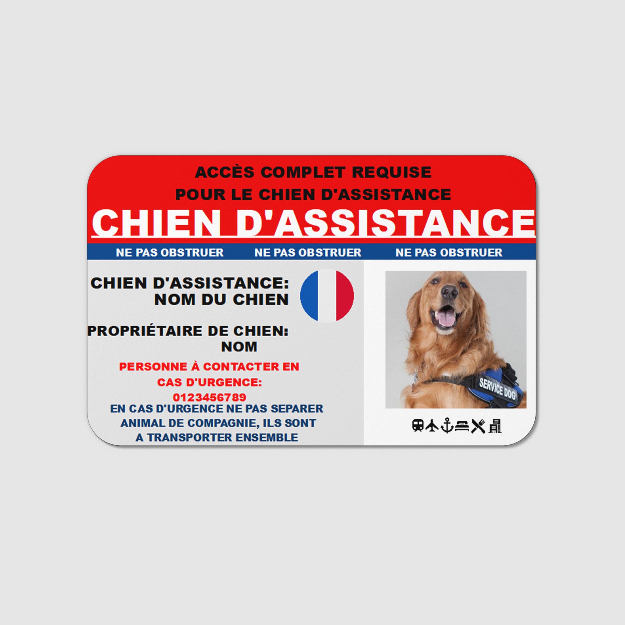 Assistance Dog Card in French Carte De Chien D'assistance - Etsy