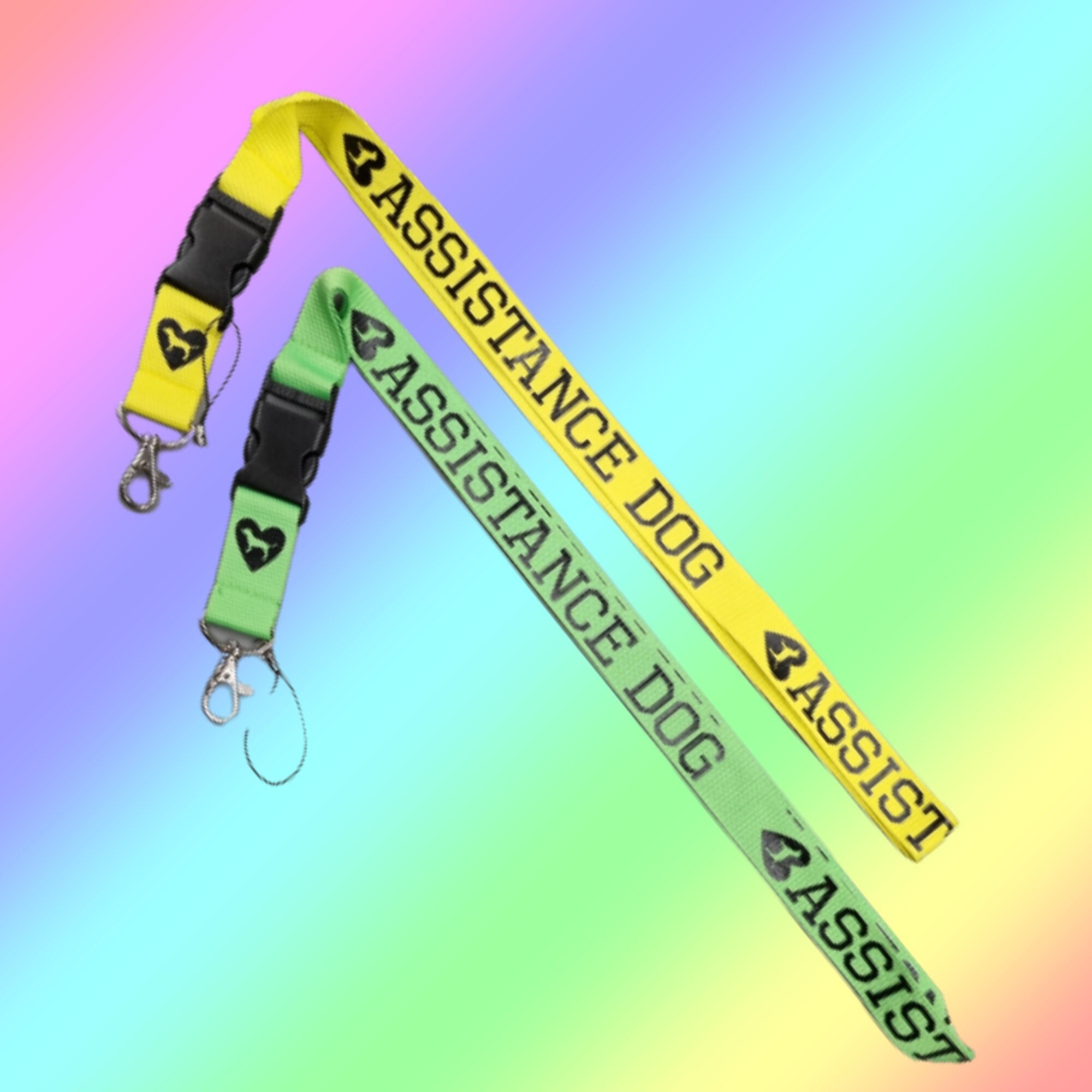 Assistance Dog Card in French Carte De Chien - Etsy