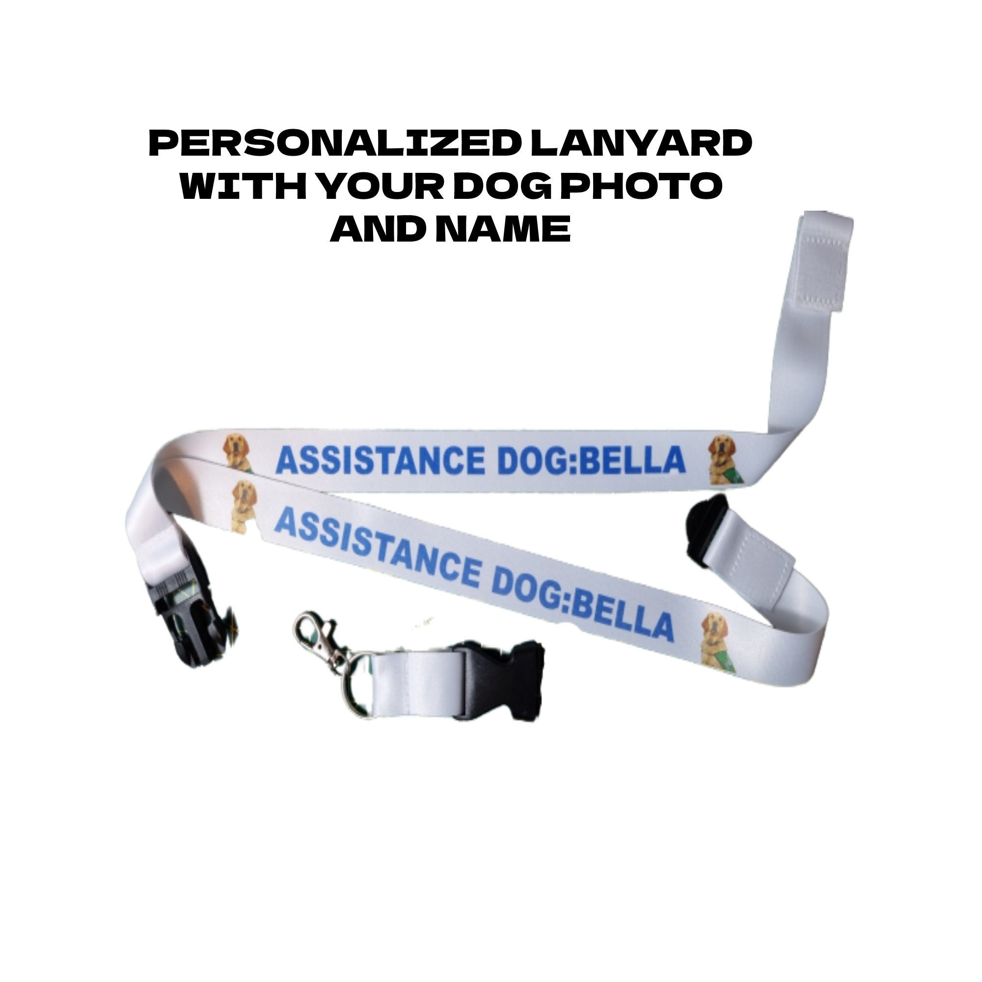 Assistance Dog Card in French Carte De Chien - Etsy