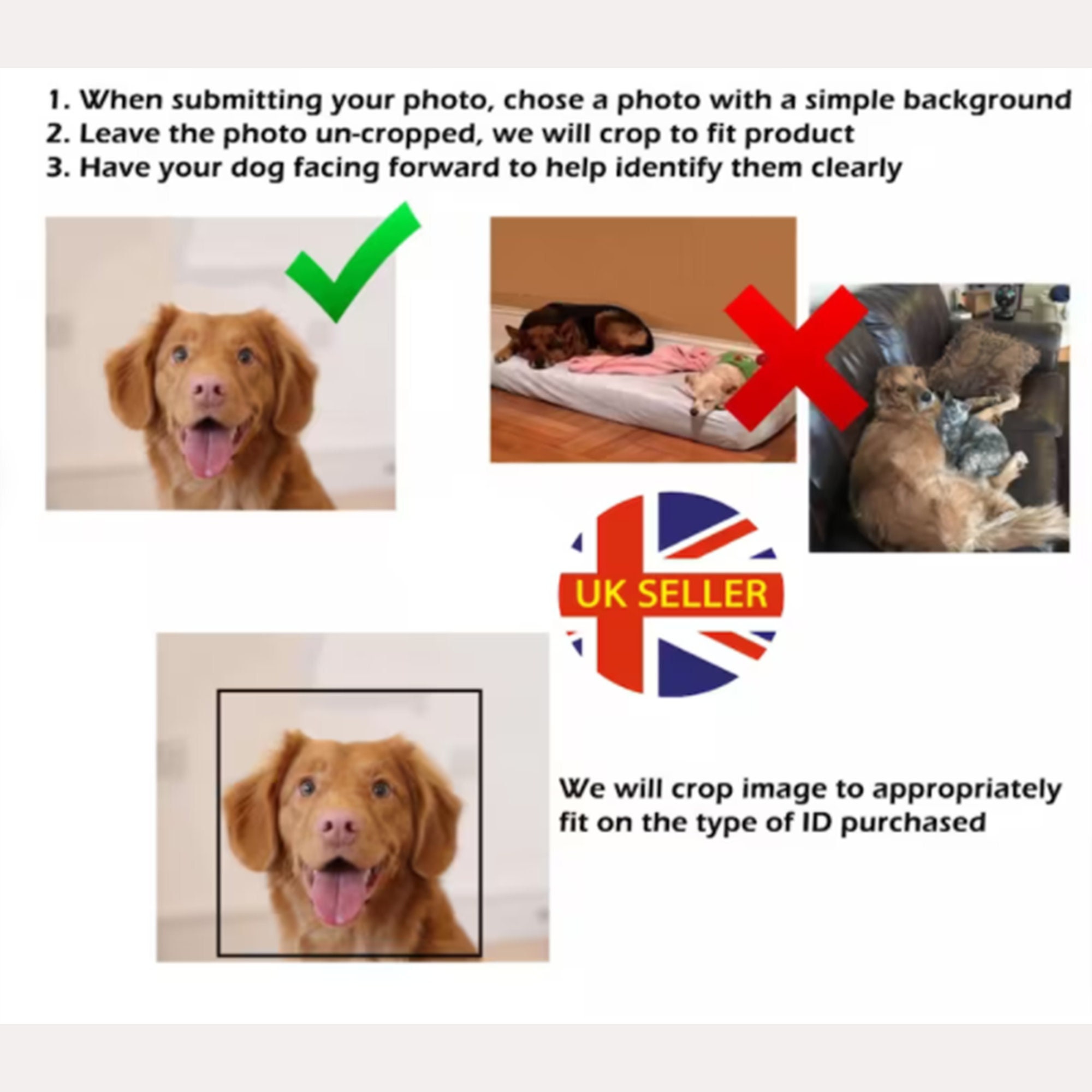 Emotional Support Dog Card With Equality & Human Rights - Etsy UK