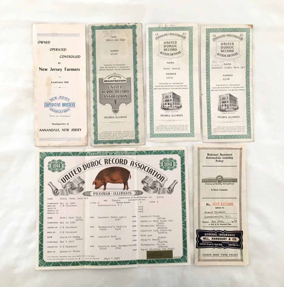 Vintage Documents 1930s Duroc Pig Registration Certificates Peoria IL ...