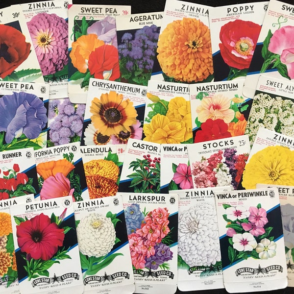 Floral Seed Packets - Etsy