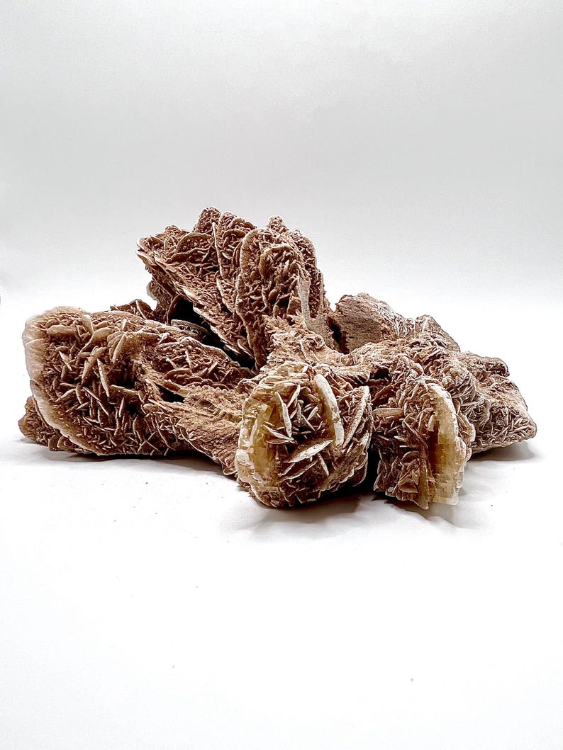 Sand Rose Candle Holder - Etsy