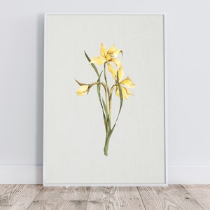 Spring Daffodils Printable Wall Art, Yellow Daffodils, Springtime Home ...