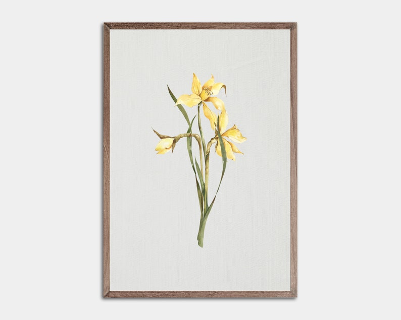 Spring Daffodils Printable Wall Art, Yellow Daffodils, Springtime Home ...