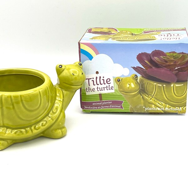 Turtle Pot - Etsy