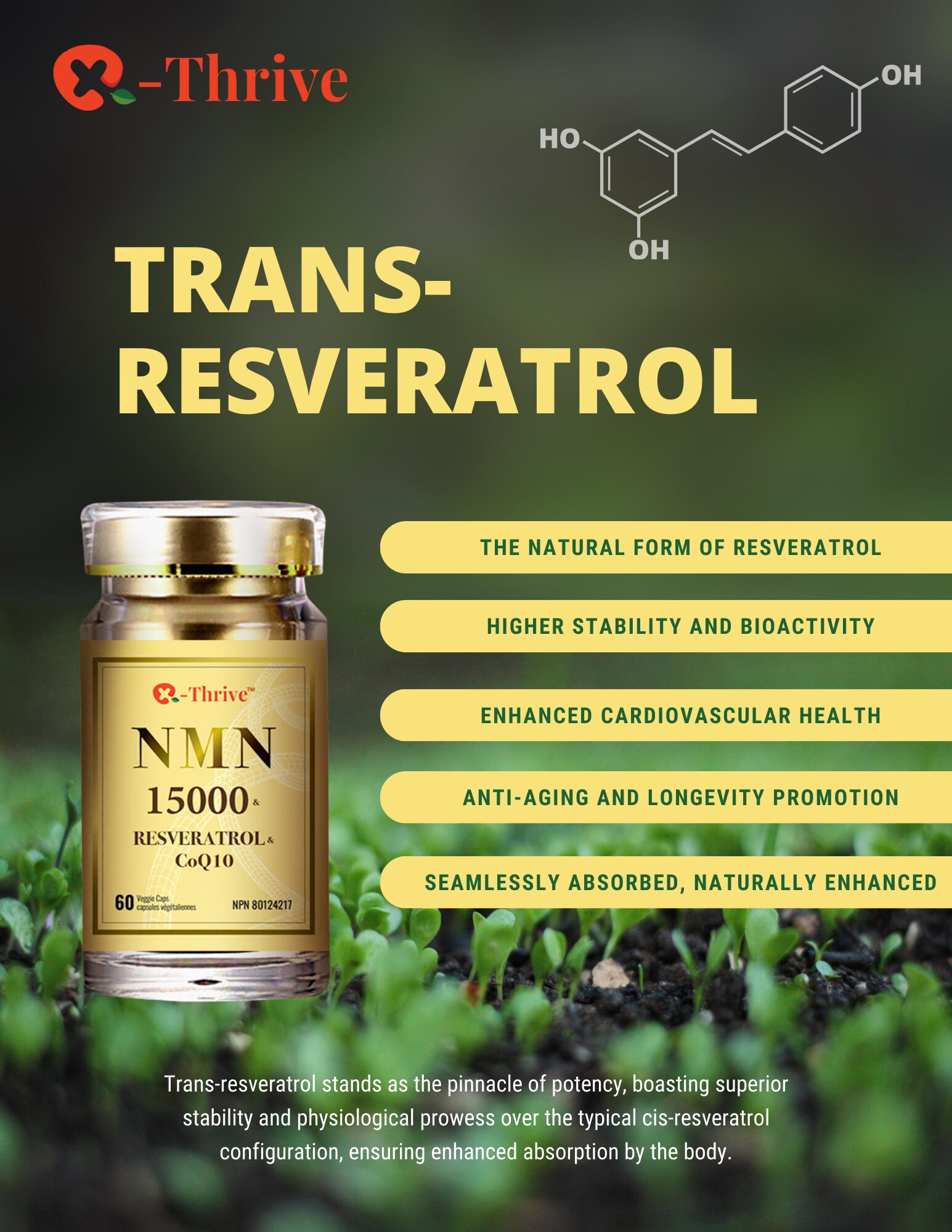 X-thrive NMN15000 + Resveratrol + Coq10 for Improved Metabolic Function ...
