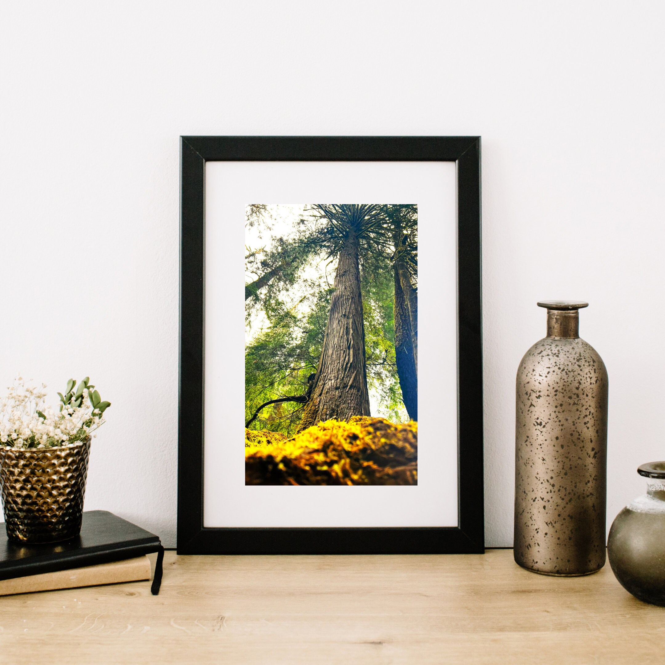 Digital Print, Tree Print Printable Wall Art Rainforest Nature ...