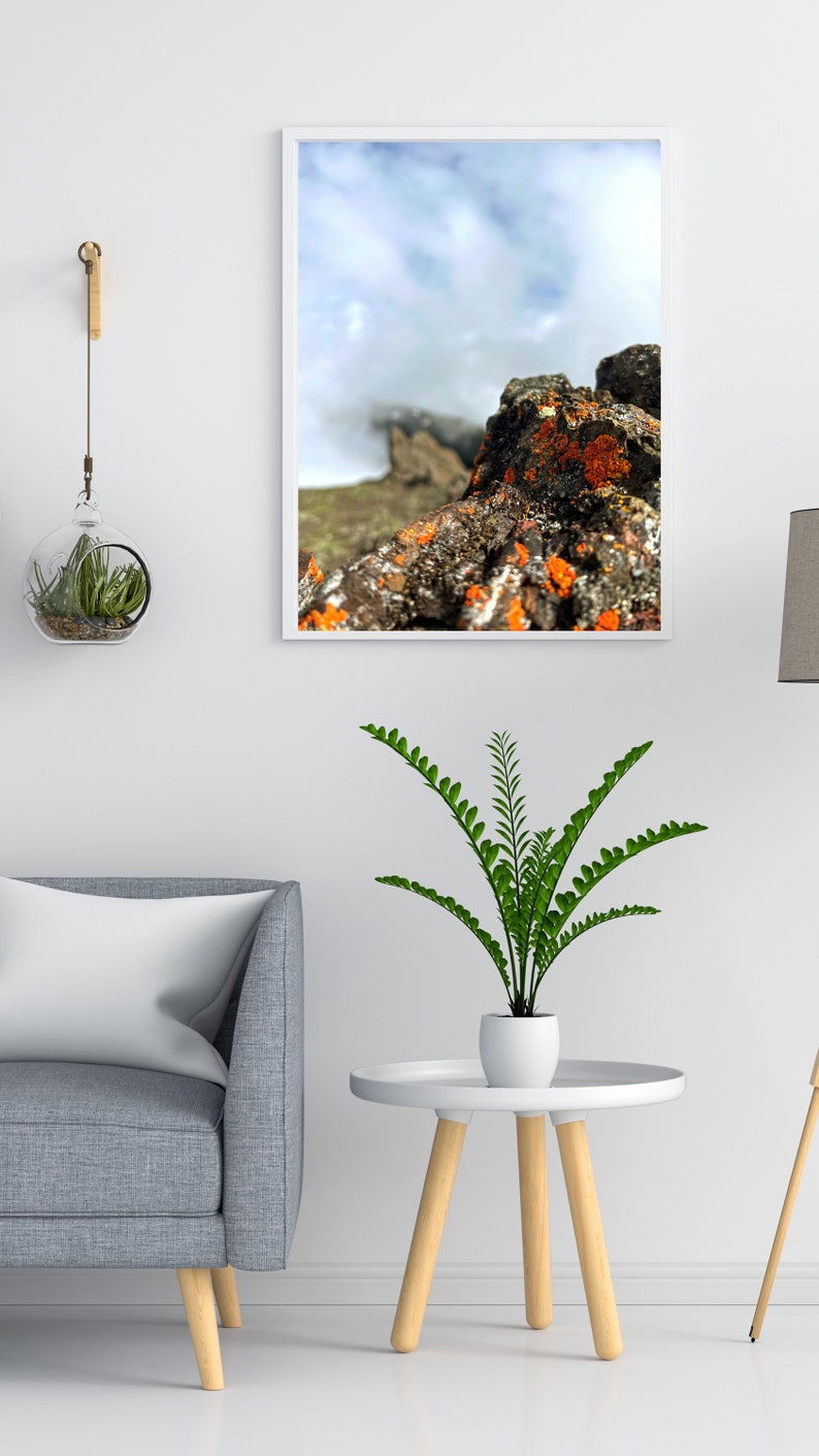 Digital Download Orange Algae Printable Wall Art Rocks - Etsy