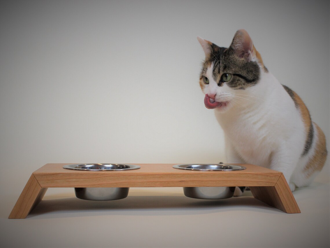 Modern Hardwood Pet Food Stand With Stainless Steel Dishes Included ...