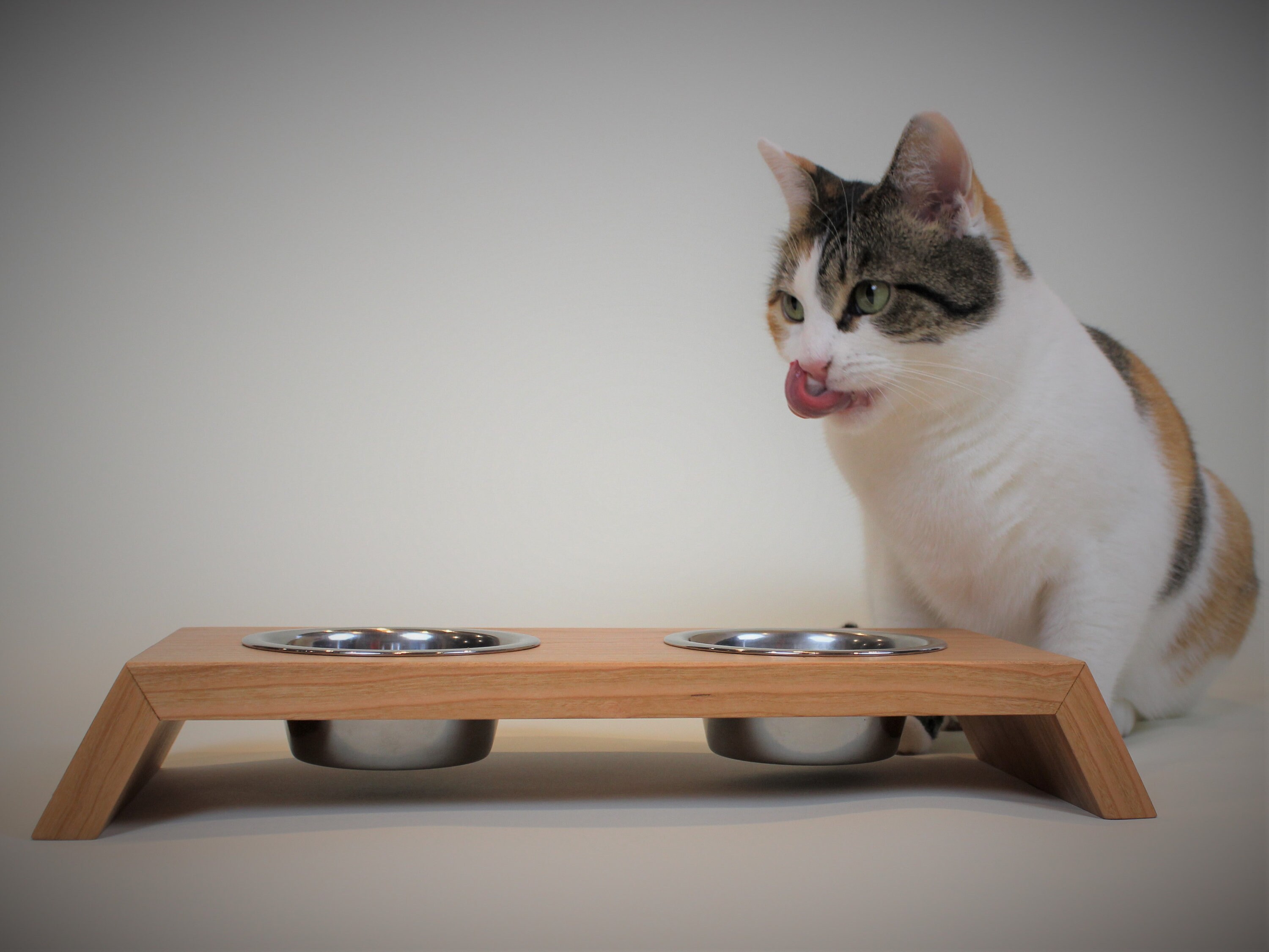 Modern Hardwood Pet Food Stand With Stainless Steel Dishes Included ...