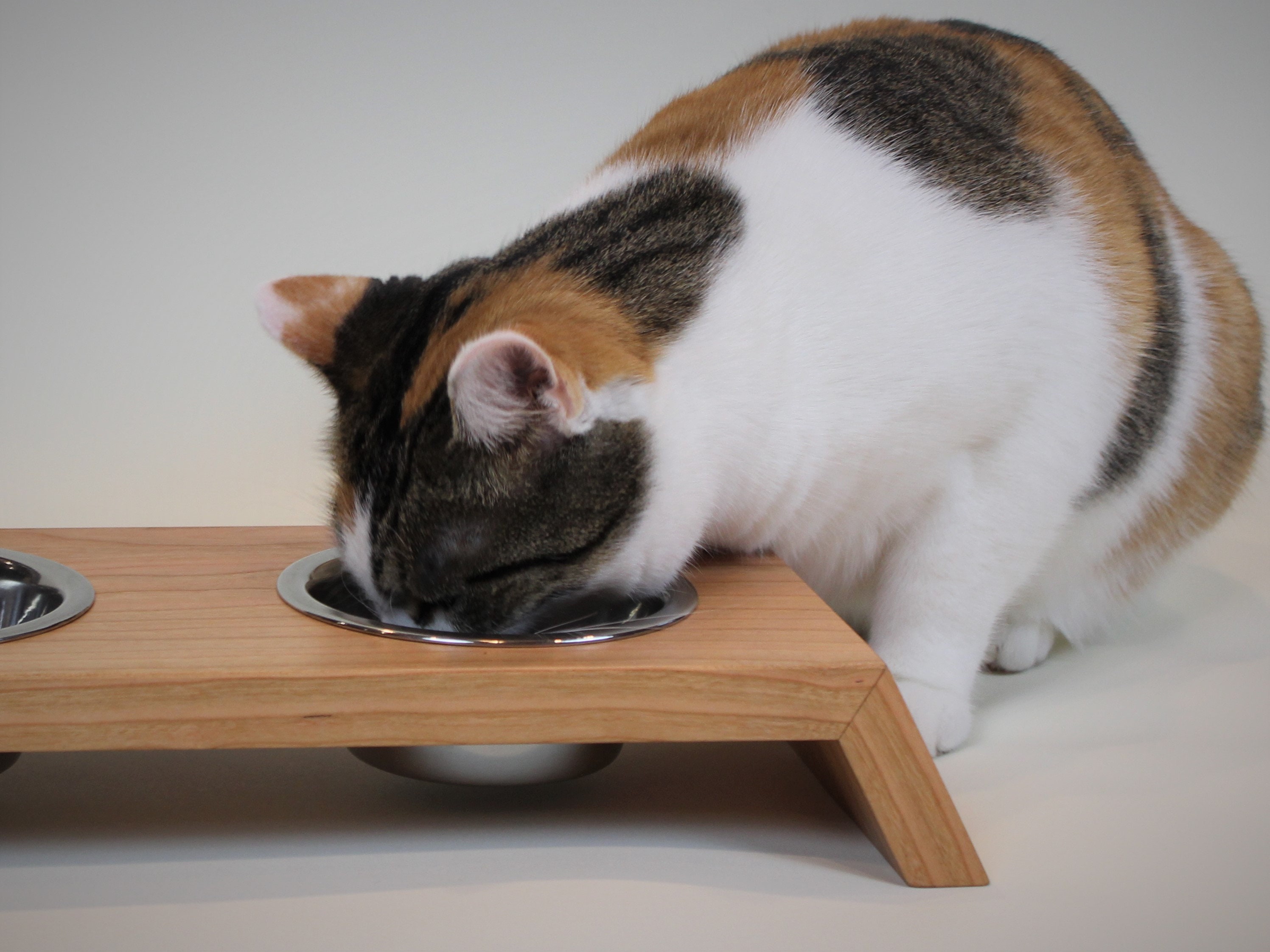 Modern Hardwood Pet Food Stand With Stainless Steel Dishes Included ...