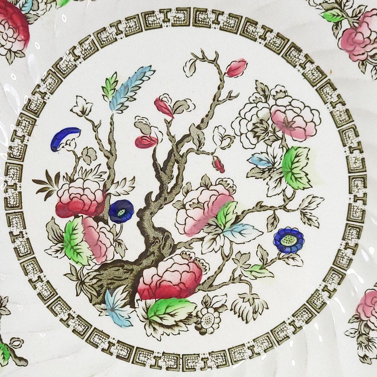 Dinner Plate Myott Indian Tree Pattern English White Porcelain - Etsy