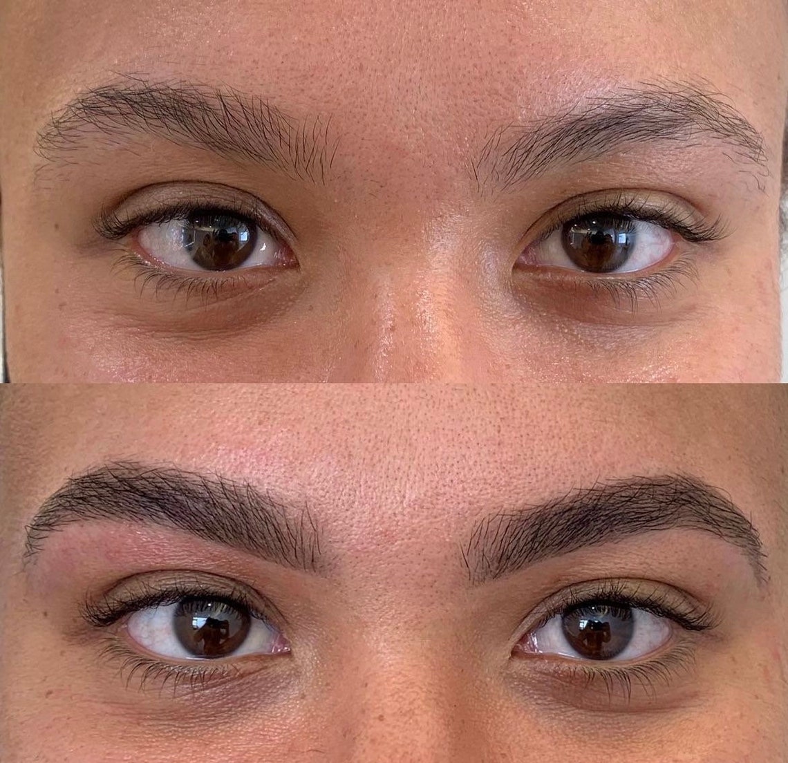 Brow Tinting, Lamination, Lash Lifting Training Ebook for Instructors or Students, Online Course ...