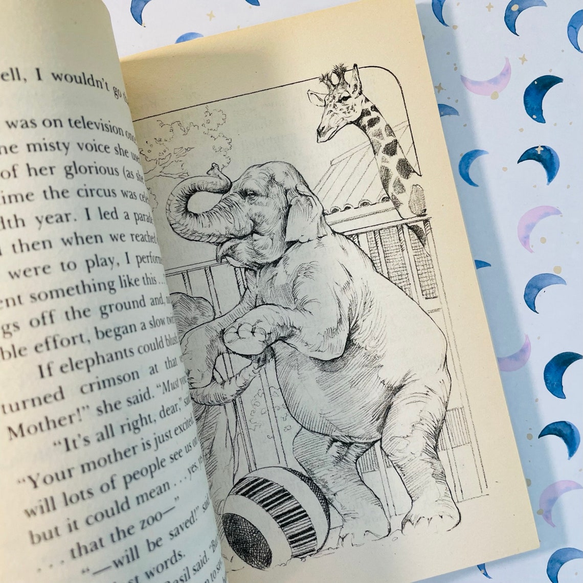 Morgan's Zoo by James Howe // Vintage 1986 Teen Chapter Book // Avon ...